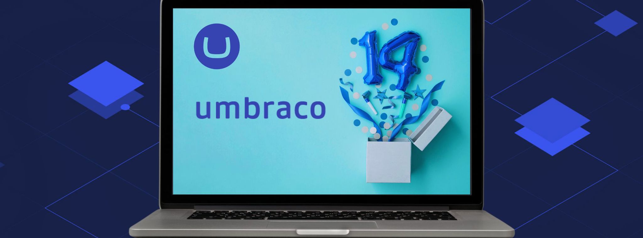 Insight | What's new in Umbraco 14 | June 2024
